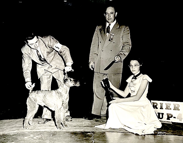 About Us | Capitol PWDs